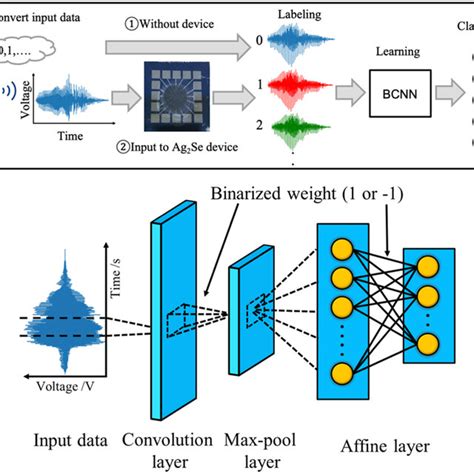 Color Online A Schematic Diagram Of Voice Classification Procedure