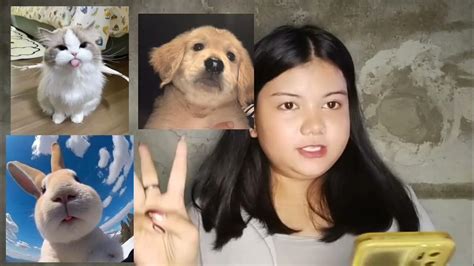 Tugas Akhir Algoritma Dan Struktur Data Youtube