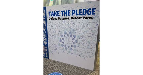 Elanco Launches Multi Year Mission To Save 1 Million Puppies From