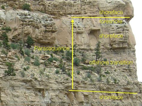 An Online Guide To Sequence Stratigraphy