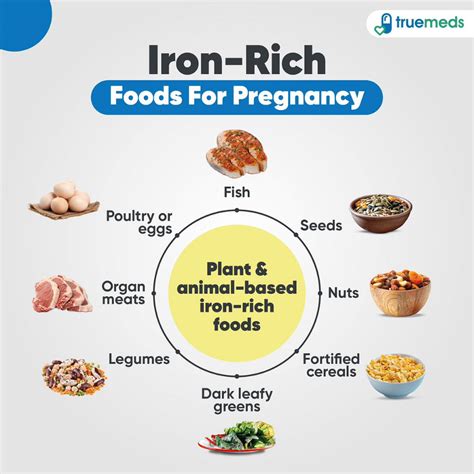 Iron Rich Foods For Pregnancy