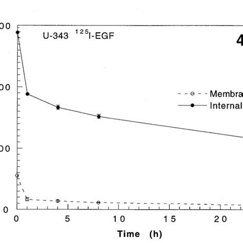 Cell Associated Radioactivity As A Function Of Time After Interrupted Download Scientific