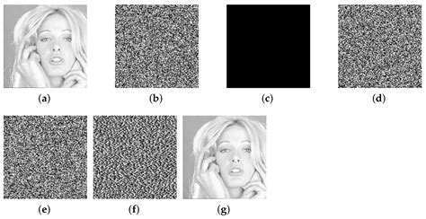 Entropy Free Full Text Security Analysis Of The Image Encryption