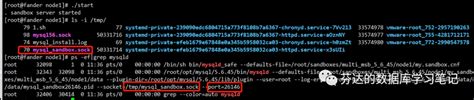 MySQL 为什么多了个sock lock文件 墨天轮