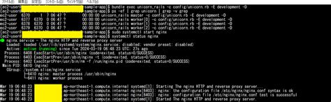 aws unicornとnginxを組み合わせてのrailsアプリケーション動作確認｜good deer970