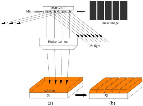 Dmd Based Lithography A Uv Exposure Process B Stripe Array After Download Scientific