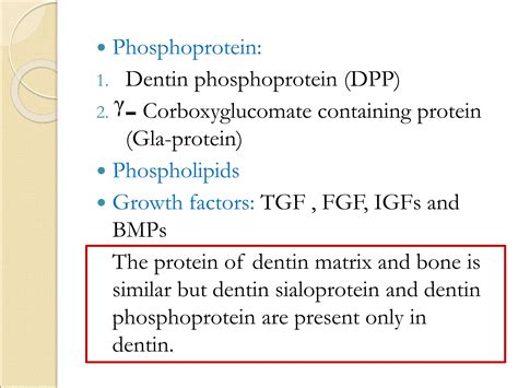 Bds First Year Dentin Presentation By Sdm D Ppt