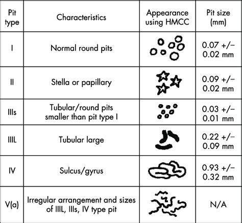 The Modified Kudo Criteria For The Classification Of Colorectal Crypt Download Scientific