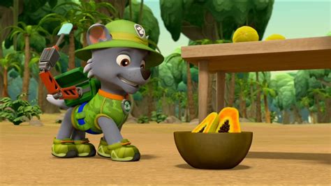 Pups Save The Pawpawsgallery Paw Patrol Pups Pup Rocky