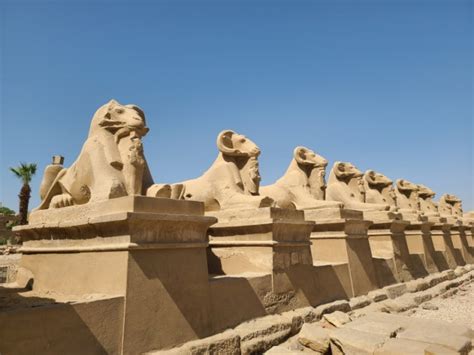 이집트 여행 룩소르 원데이투어 네이버 블로그