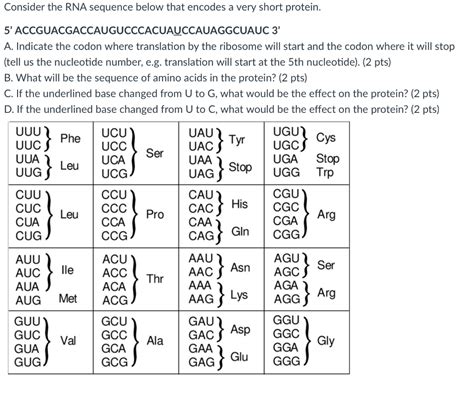 Solved Consider The Rna Sequence Below That Encodes A Very