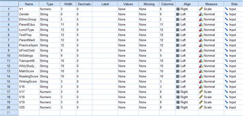 Ibm Spss Statistics Tutorial Part 03 Importing Data Your Right Decision Blog