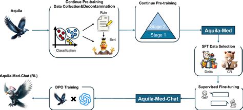 Figure From Aqulia Med LLM Pioneering Full Process Open Source Medical Language Models