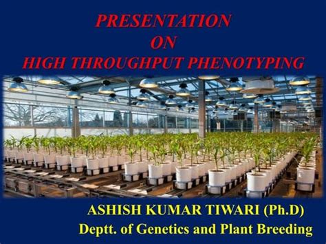 High Throughput Phenotyping Ppt