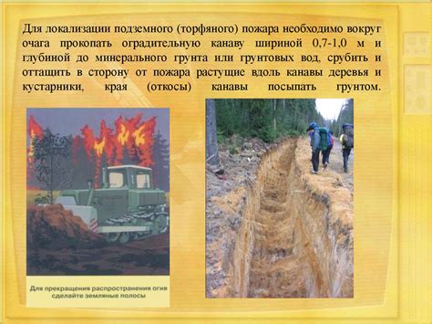 Профилактика лесных и торфяных пожаров защита населения презентация онлайн