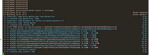 简单的python程序，把它做成docker镜像python Docker镜像 Csdn博客