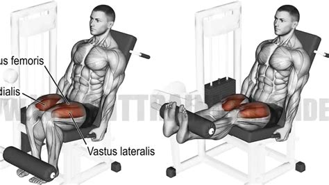 The Best Exercises To Grow Your Quads