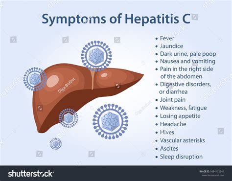 Hepatitis Liver Symptoms Hepatitis C Text Stock Vector Royalty Free