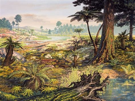 Cenozoic Era Everything You Need To Know