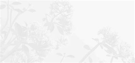 Does A Woman Still Enjoy Sex After Menopause Sharp Healthcare