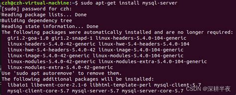 tinywebserver 学习记录之 环境搭建运行 及 报错解决 tinywebserver数据库连接错误 csdn博客