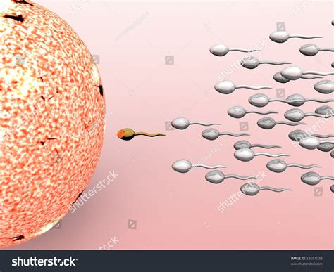Cartoon Illustrating Male Sperm Cells Fertilizing A Female Egg Stock