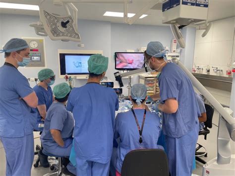 Patrick Grover On Linkedin Our Lateral Skull Base Approaches