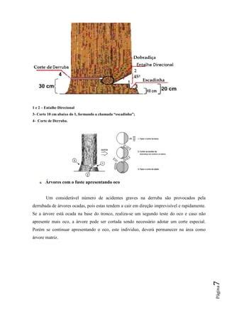 Apostila Corte Das Arvores Pdf