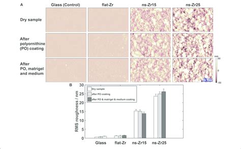 Surface Characterization Of The Different Substrates After