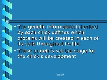 Nucleic Acids Ppt By Science Biology Chemistry Physics TPT
