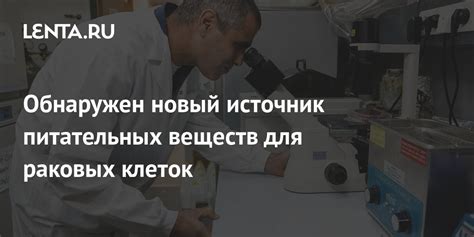 Обнаружен новый источник питательных веществ для раковых клеток Наука Наука и техника