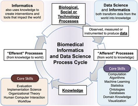 Biomedical Informatics And Data Science Division Of Biology And Biomedical Sciences