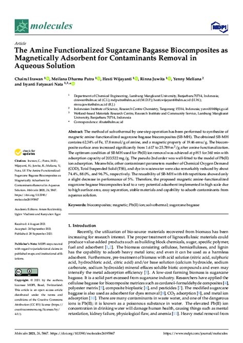 Pdf The Amine Functionalized Sugarcane Bagasse Biocomposites As
