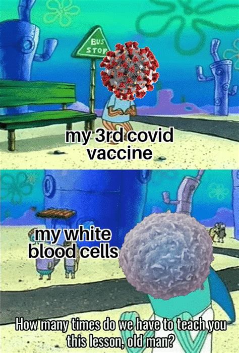 White Blood Cells The Bouncers Of Your Immune System ·