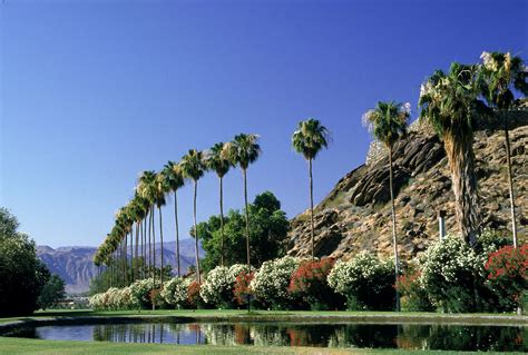 🔥 30 Palm Springs Wallpapers Wallpapersafari