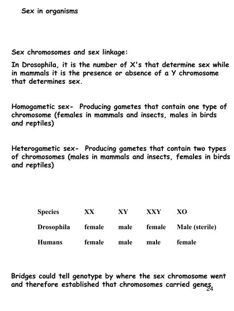 Ppt Sex Linked Powerpoint Presentation Free Download Id 432898