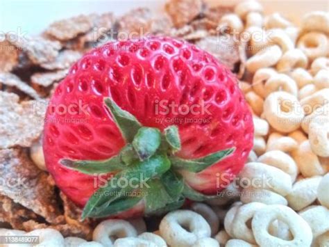 구운 곡물 귀리 시리얼 혼합 구운 플레이크 시리얼과 딸기 과일건강 한 아침 식사 선택 0명에 대한 스톡 사진 및 기타 이미지 0명 Toasted Oats Cereal