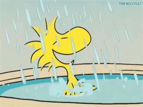 Shower Bath Gif Shower Bath Woodstock Discover And Share Gifs