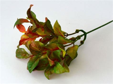 Přízdoba Větvička Ruscus