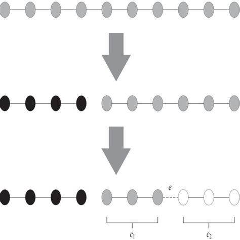 Calculation Of Equilibrium Degree Download Scientific Diagram