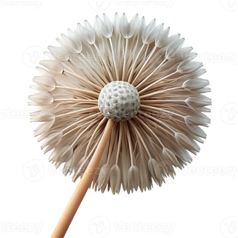 Striking Joyful Rustic Hyper Specific Professional Render Isolated Cutout Photorealistic