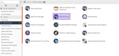 how to add dns record on your domain in cpanel pheonixsolutions