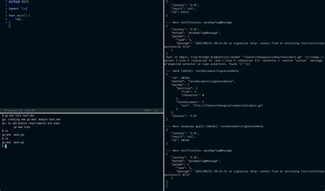 acm backend lsp candidates invalid function server items gethash