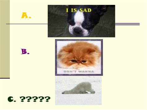 SOLUTION Matter And The Particle Model Ppt Studypool