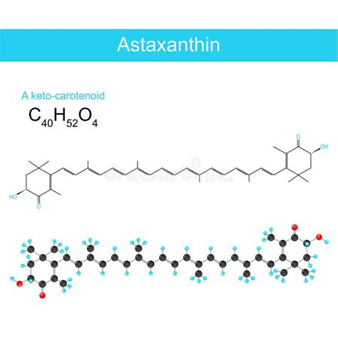 Astaxanthin Molecular Chemical Structural Formula Stock Vector