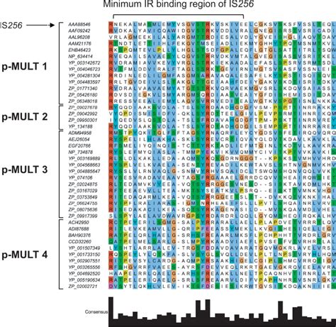 Alignment Of The Predicted N Terminal Dna Binding Domain Implicated In