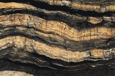 Characterization Of Shale Rock With Thermal Extraction Gcms Quantum