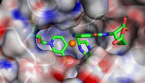 The Molecular Dynamics Process LAMMPS Tube