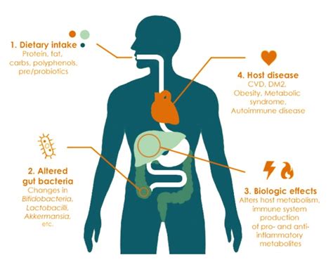 Colorectal Cancer Rising Among Young Adults Nci