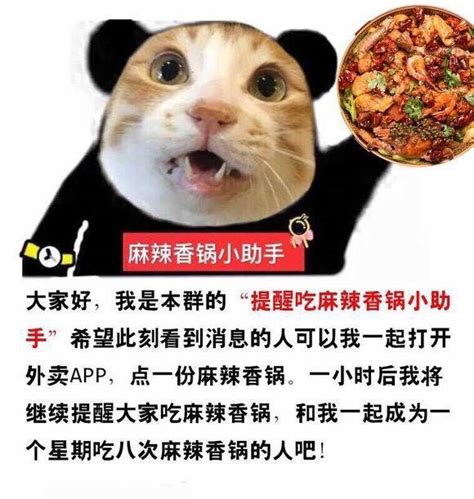搞笑表情包我是本群的提醒斗图小助手 手机搜狐网